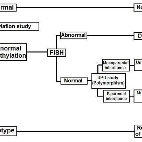 Diagnostic Algorithm In Subjects Suspected Of Prader Willi Syndrome Download Scientific Diagram