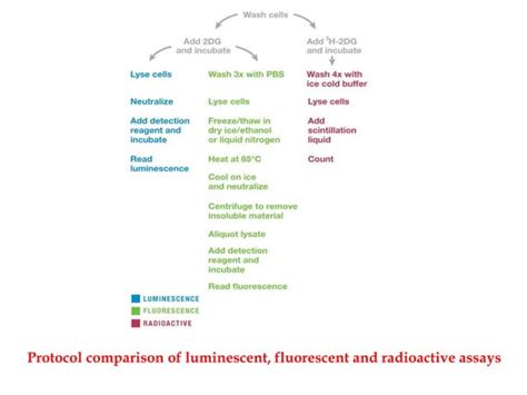 Glucose Uptake Assay Pdf Endocrine And Metabolic Diseases