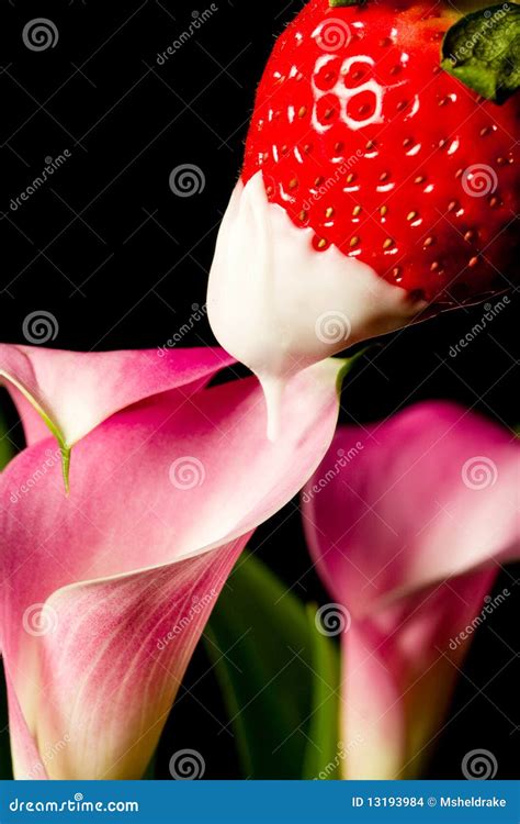 Tasty Seduction Stock Photo Image Of Vagina Calla Flower