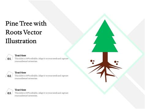 Pine Tree With Roots Vector Illustration Ppt Powerpoint Presentation