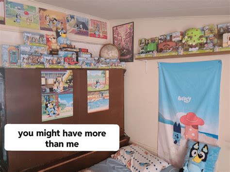 All Of The Bluey Stuff I Own And With New Bluey Blanket Its Crazy How