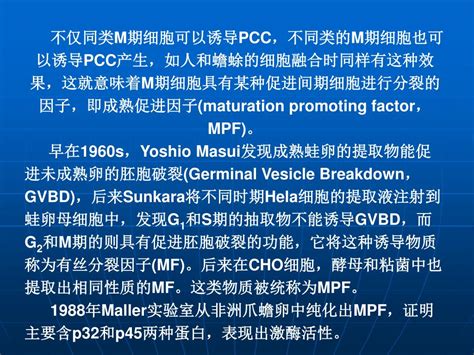 Ppt 第二节 细胞周期调控 Powerpoint Presentation Free Download Id 3575227