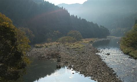 「杉皮」の写真素材 205496件の無料イラスト画像 Adobe Stock