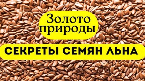 Семена льна польза для организма Полезные свойства семян льна Youtube