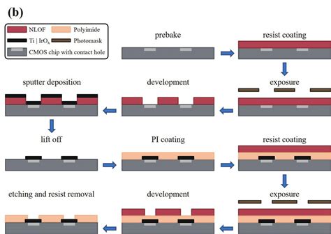 Color Online Schematic Illustration Of Fabrication Of Iridium Oxide Download Scientific