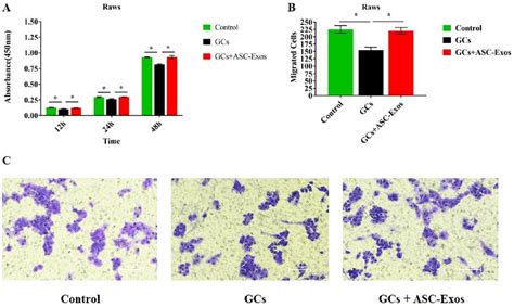Figure 2 From Adipose Stem Cell Derived Exosomes Exert A Synergic Anti