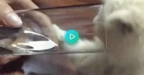 Liquid Drinking Liquid Album On Imgur Liquid Drinking Liquid Album On Imgur