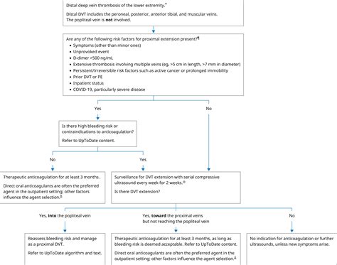 Treatment Of Distal Dvt Of The Lower Extremity Uptodate