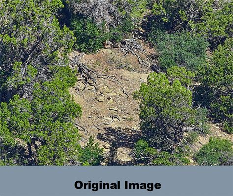 solved reference object image in generative fill for new adobe product community 15291198