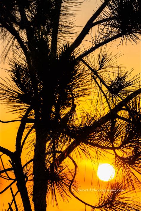 Mohammad Ismail Shaikh On Linkedin Glorious