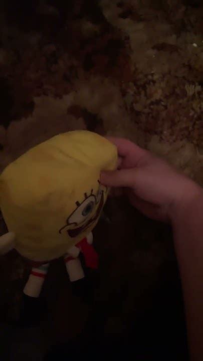 Spongebob Is Too Friendly Youtube