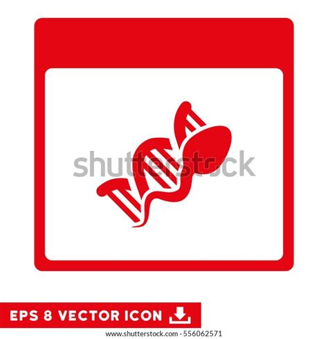 Sperm Dna Replication Calendar Page Icon Stock Vector Royalty Free