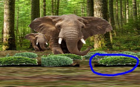 3d With Sprites Problem Questions Defold Game Engine Forum