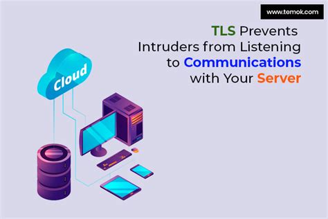 SSL TLS An Ultimate Guide To Secure Networking Temok Hosting Blog