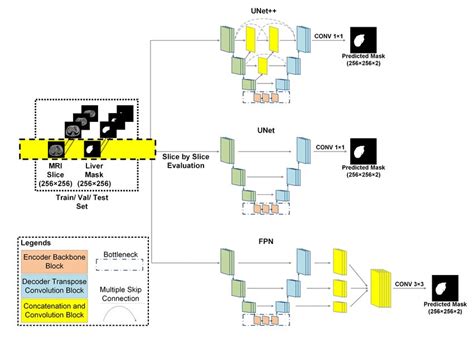 network architectures of different segmentation networks and