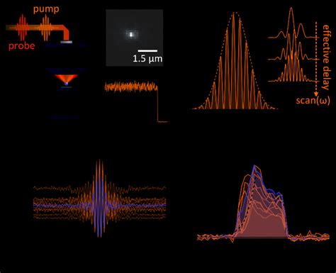 Experimental Implementation Of Spectral Modulation Spectroscopy And Download Scientific