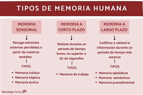 Tipos De Memoria Minimanual ️