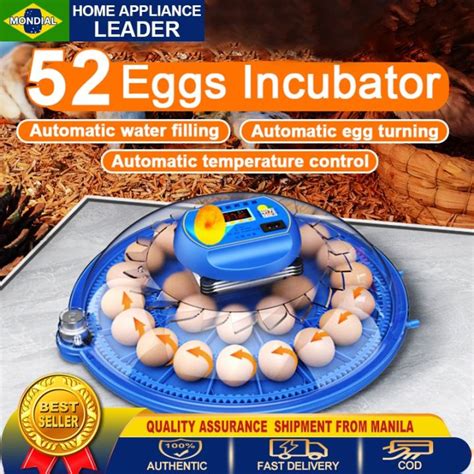 Incubator Small Home Mini Incubator Intelligent Automatic Bird Egg