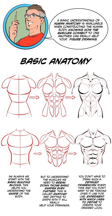 Pin By Amos On Drawing Drawing Tips Drawing People Anatomy Reference
