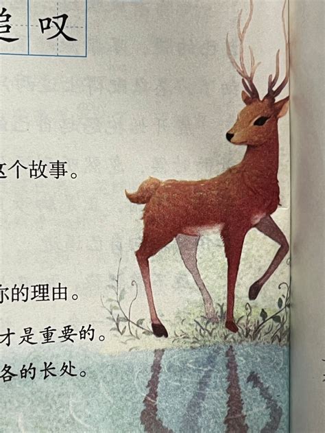 语文课本配图出错？小学生的这个质疑，出版社回应了 新华网客户端