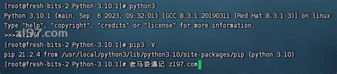服务器centos7部署python3的完整安装过程（3101） 老马奇遇记