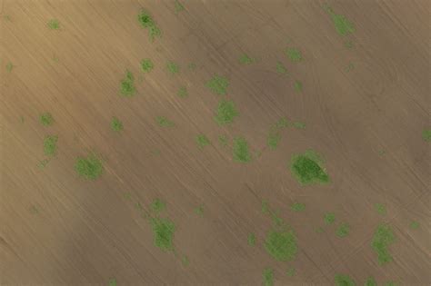 Targeted Herbicide Spraying Cultiwise