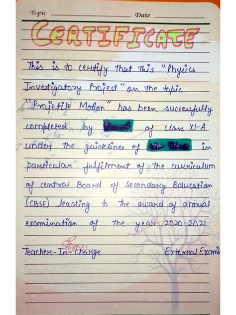 Projectile Motion Project Pdf