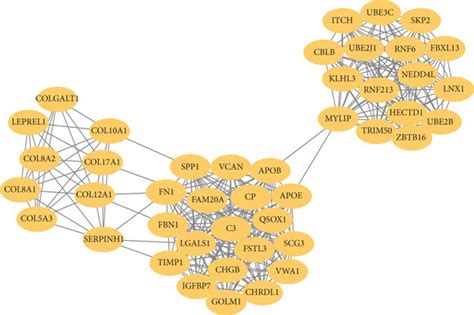 Module Analysis Of Ppi Networks Obtained Through Cytoscapes Plug In