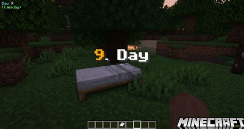 Мод на счётчик дней Day Counter 1 16 5 1 19 4 1 18 2 Моды для Minecraft Minecraftch