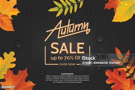 가 단풍 어두운 젖은 아스팔트 배경에 가 판매 개념입니다 전단지 전단지 배너 포스터에 대 한 다채로운 그림 벡터 Eps 10 가격에 대한 스톡 벡터 아트 및 기타 이미지