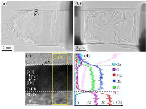 2 Characterization Of Tem Lamellae Tem Micrographs With A Defocus Of