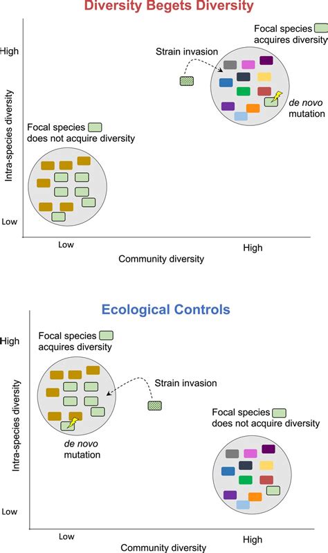 Community Diversity Is Associated With Intra Species Genetic Diversity