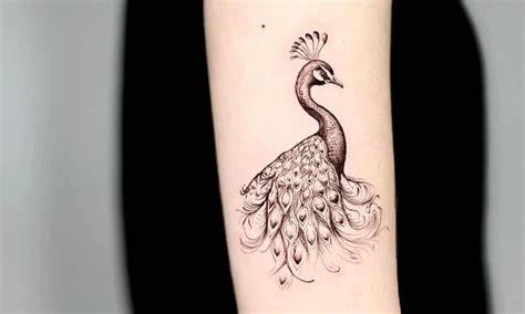 135 Amazing Peacock Tattoos And Their Inspirational Meanings