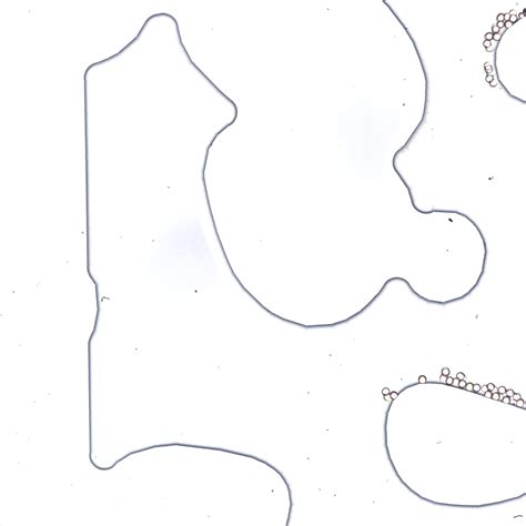 Microdrop4 Instance Segmentation Dataset And Pre Trained Model By