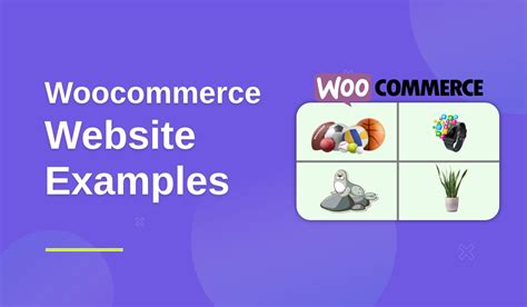 9 Best Woocommerce Website Examples In 2025