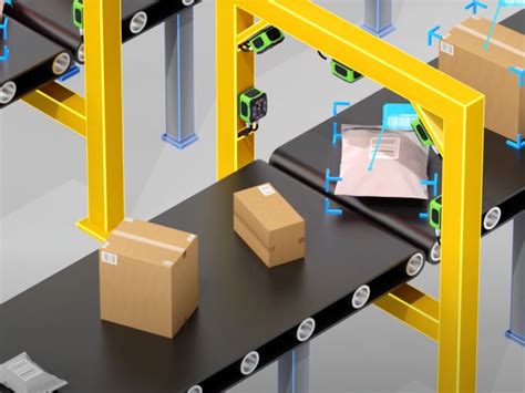 What Is A Scan Tunnel Zebra Joni Walsweer