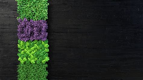 파슬리 딜 바질 양파 로즈마리 민트 검은 배경에 고립 된 백리향의 마이크로 그린 콩나물이있는 상자 세트 측면보기 복사 공간 닫기 3d 그림 새싹채소에 대한 스톡 사진 및