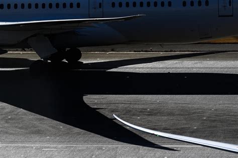 Lens Impression Nikkor Z 600mm F 4 Tc Vr S ほか 実勢価格：218万9000円（税込）※受注販売 Photo＆text 吉富直人 2 2