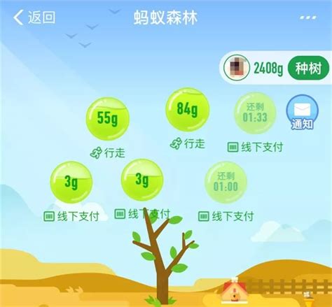 你们在支付宝里种的树，正在悄悄改变着世界！沙漠