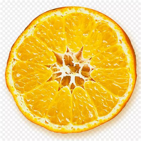 切开的橙子png图片素材下载 图片编号qkmavzbq 免抠素材网