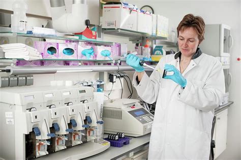 Genetic Microarray Preparation 2 By Science Photo Library