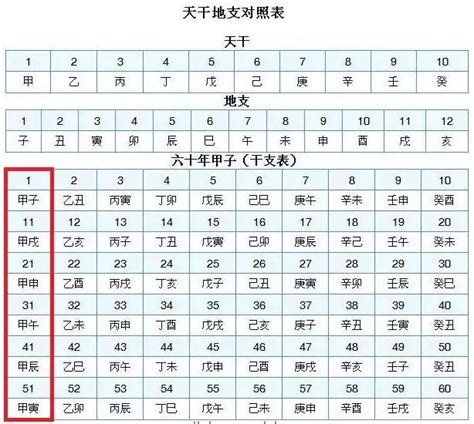 身懷六甲是哪六甲 每日頭條