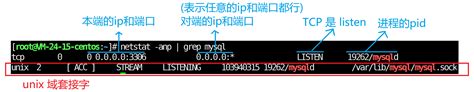 快速上手 Linux环境配置 基本指令与项目部署要点linux系统基本项目 Csdn博客 快速上手 Linux环境配置 基本指令与项目部署要点linux系统基本项目 Csdn博客