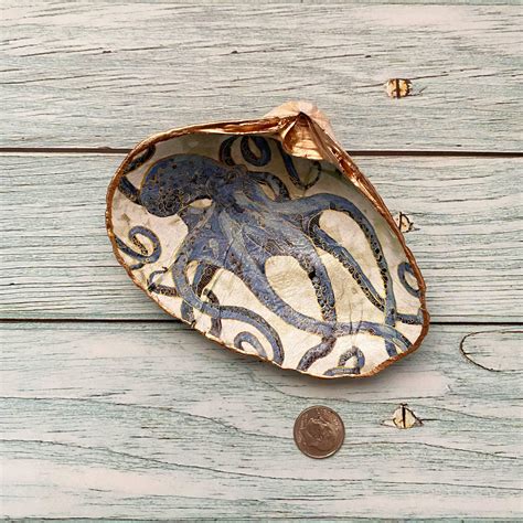 Octopus Shell Forma La