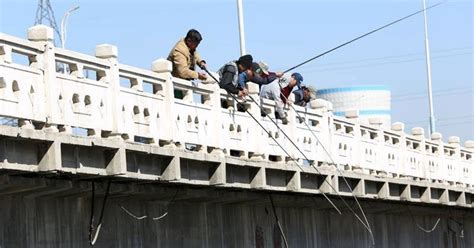 Хууль бусаар загас агнагчдыг илрүүлжээ