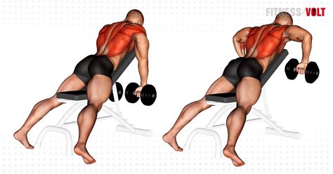 The Best Bent Over Row Alternatives For A Bigger More Muscular Back Fitness Volt