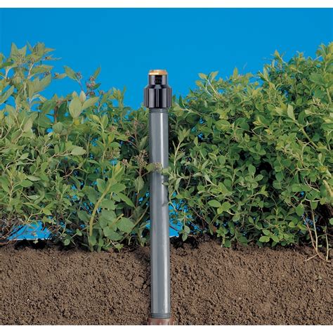 Orbit 34in X 12in Pvc Riser In The Pvc Pipe And Fittings Department At