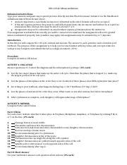 Comparing Cell Cycle Mitosis And Meiosis In Biology Lab Course Hero