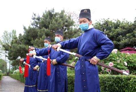 洛陽牡丹珍品「銀絲貫頂」盛開 「帶刀侍衛」24小時輪流看守 星島日報