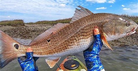 Flats Fishing 101 Finding Spots For Redfish Trout Snook And Flounder